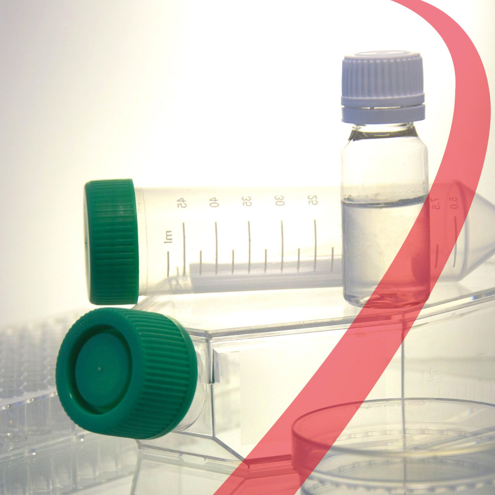 Antimicrobial Drugs: Promoting Responsible Use - TecnoZoo